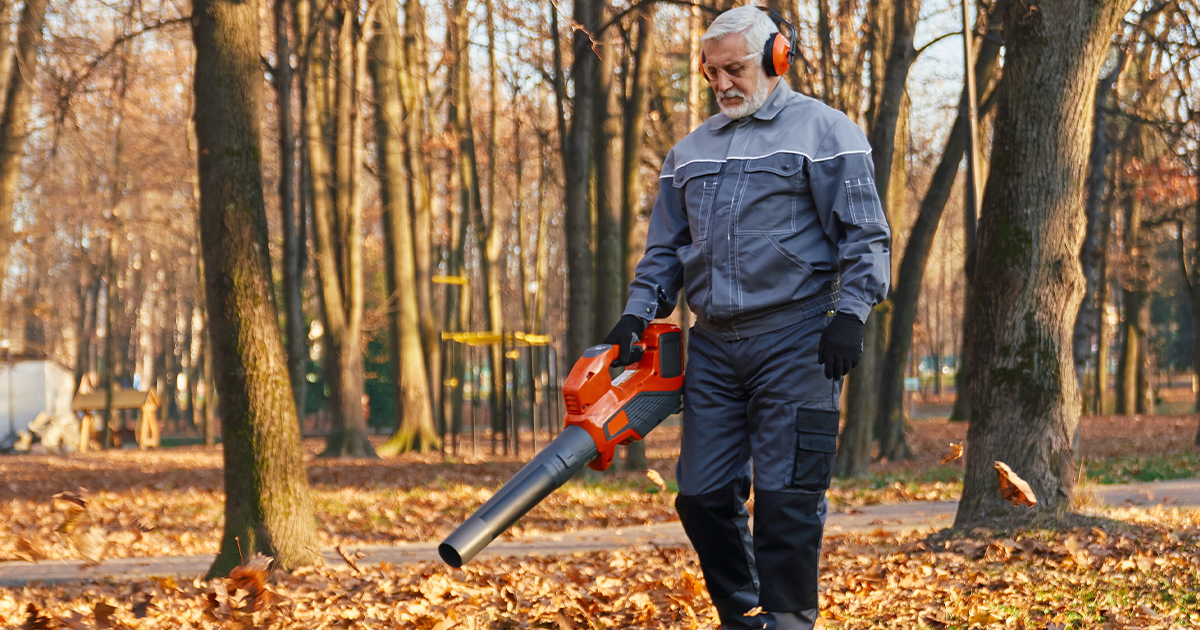 Study: Growing Number of Boomers Feel Closer Bond With Their Leaf ...
